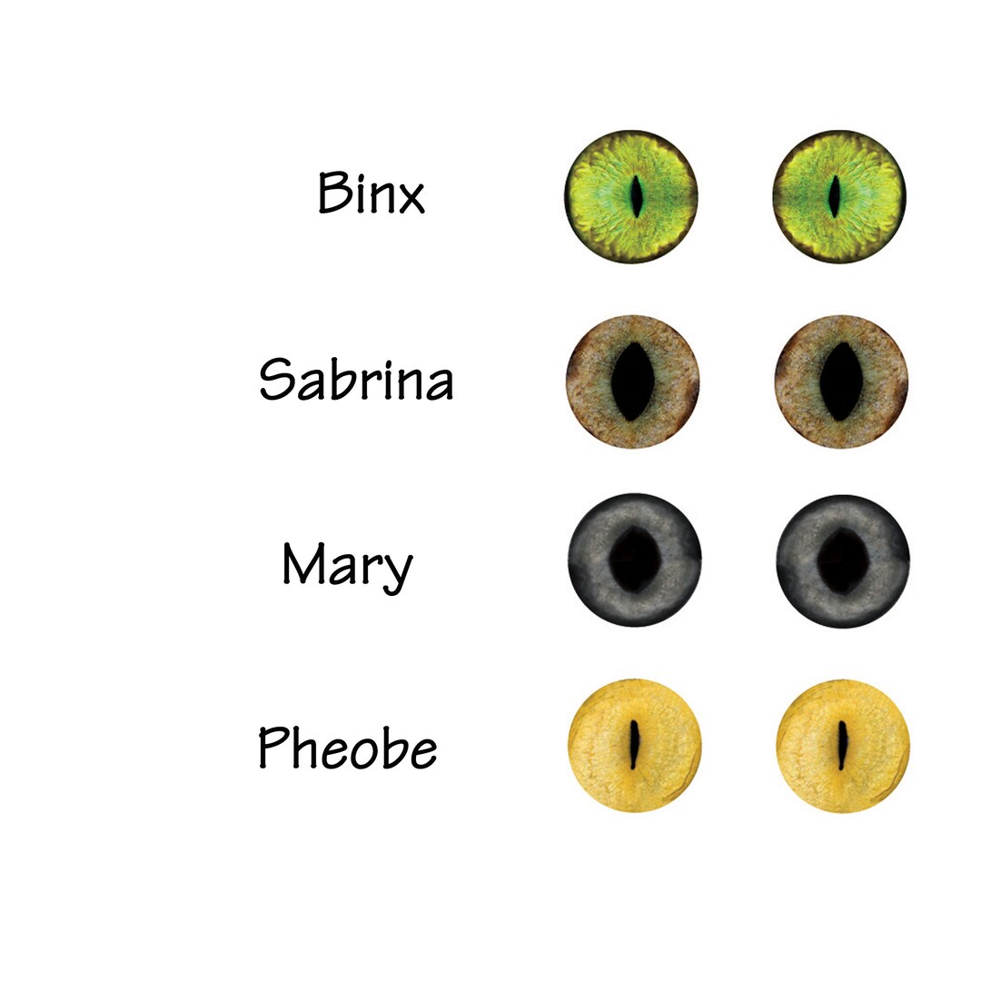 Resin - Glass Like Eyes - Doll Eyes - Slit Iris - Multiple Sizes to ...