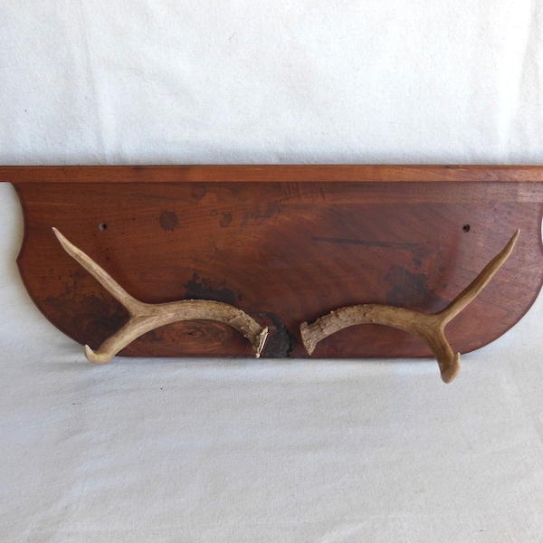 Antler Coat Rack - Etsy