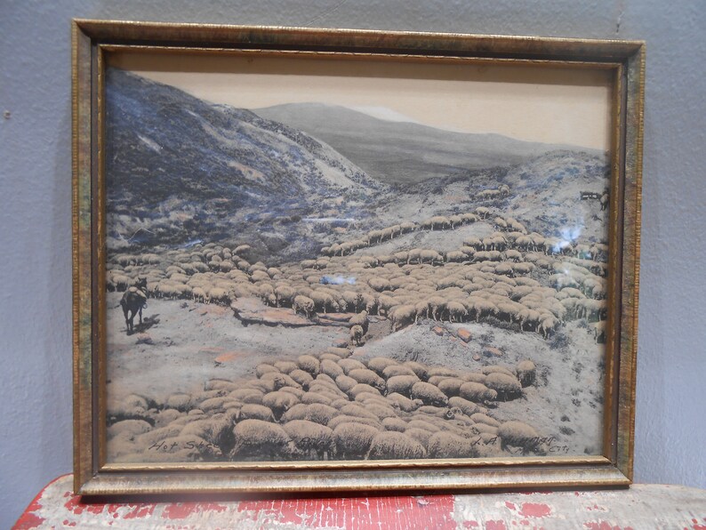 LA Huffman Old West Photograph Hot Sheep on Powder River - Etsy