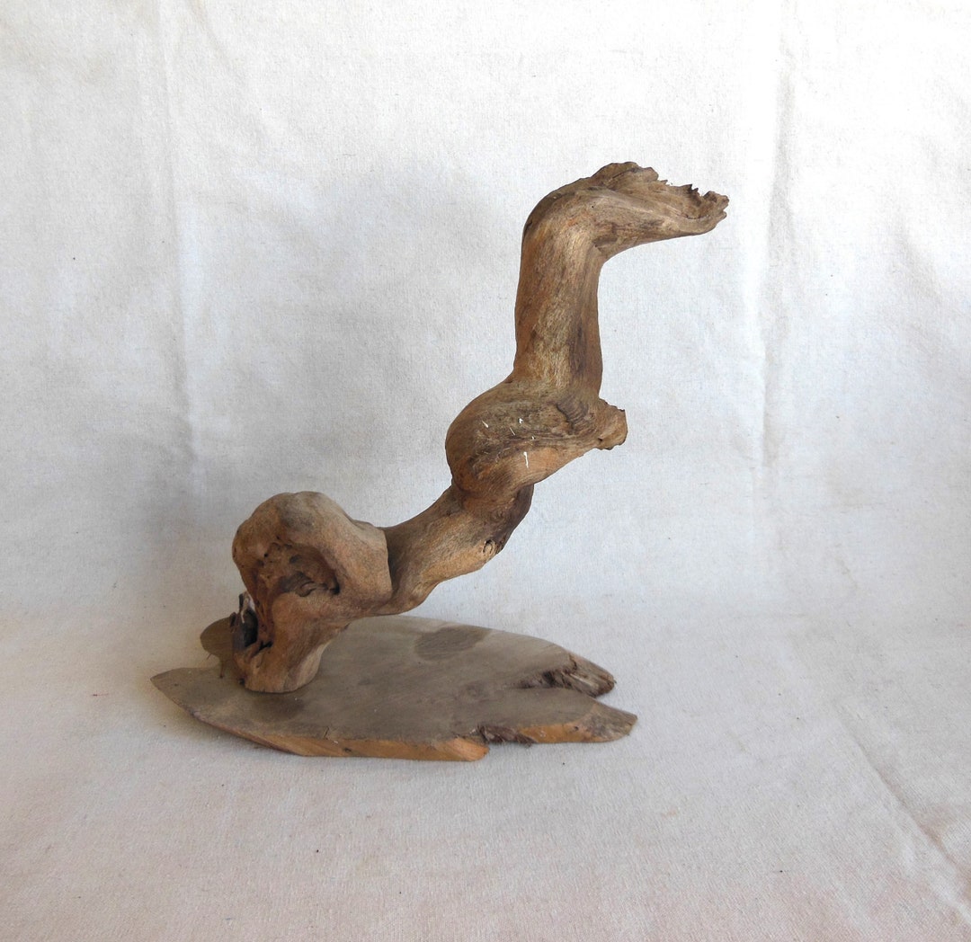 Vintage Handmade Art Object Natural Tree Root Tree Branch Driftwood ...