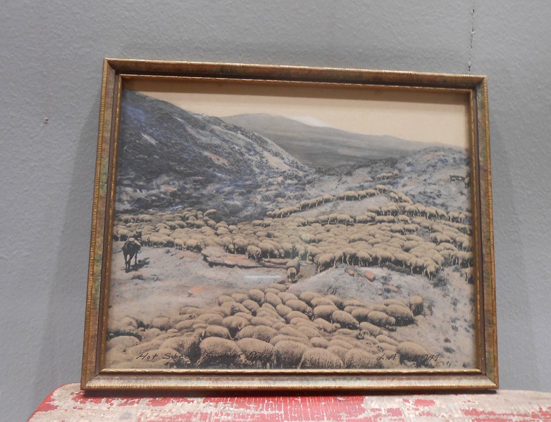 LA Huffman Old West Photograph Hot Sheep on Powder River - Etsy