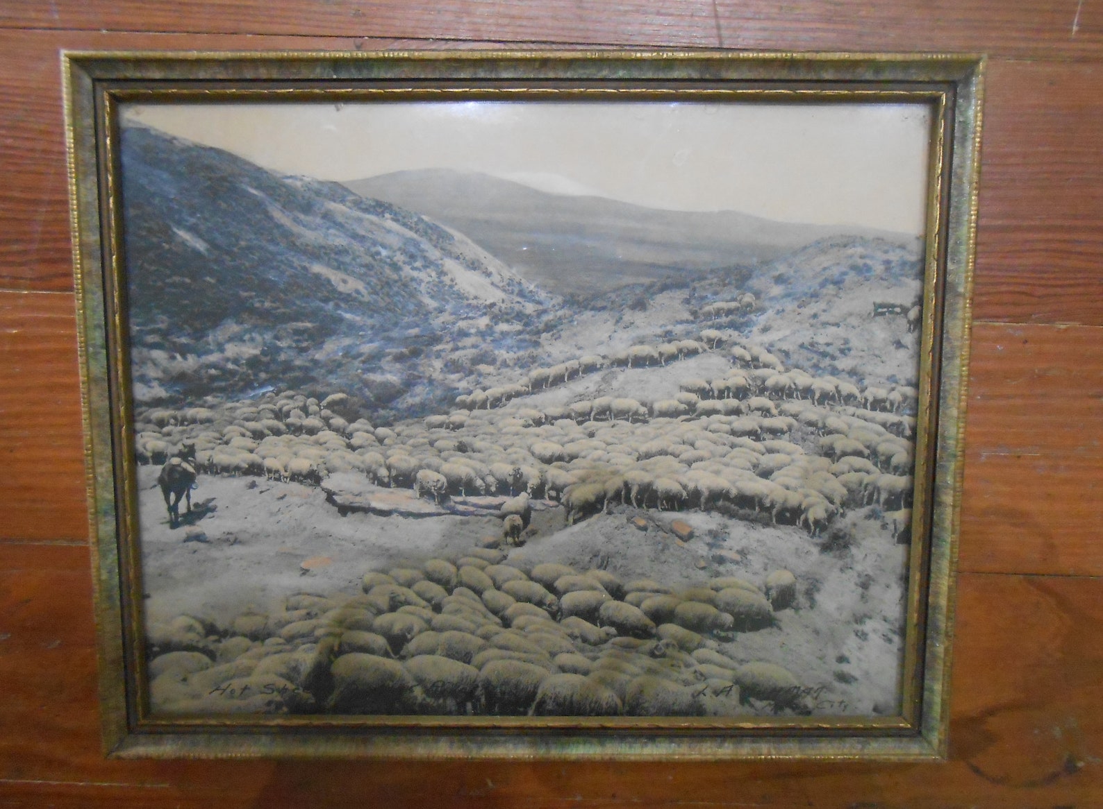 LA Huffman Old West Photograph Hot Sheep on Powder River - Etsy Hong Kong