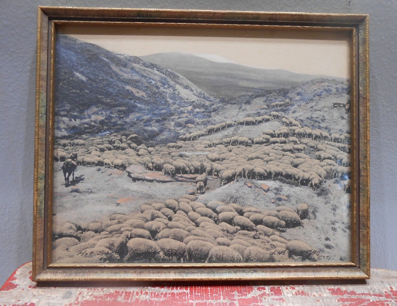 LA Huffman Old West Photograph Hot Sheep on Powder River - Etsy