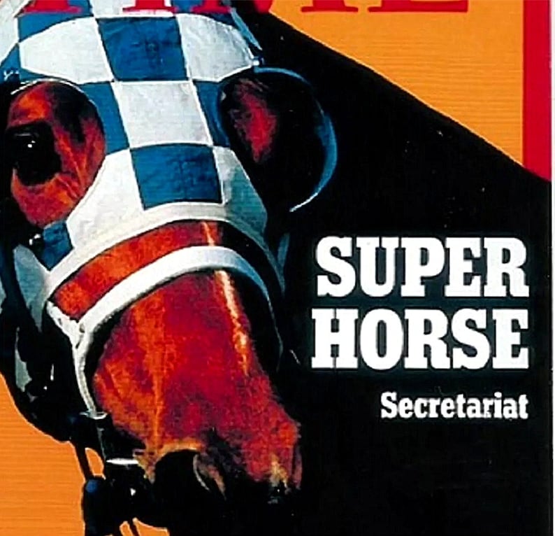 June 11, 1973 Time Magazine Cover Secretariat Race Horse Replica ...