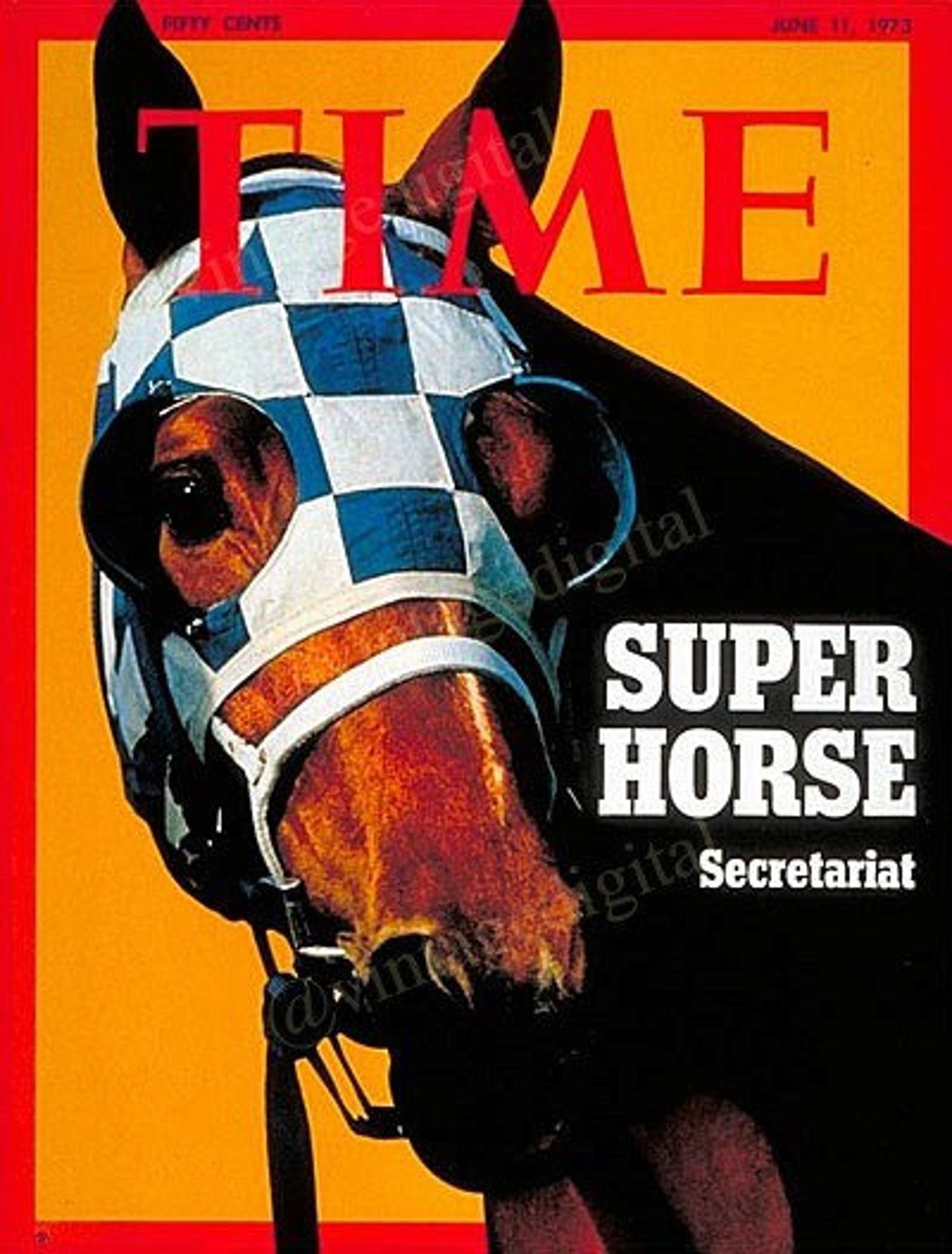 June 11, 1973 Time Magazine Cover Secretariat Race Horse Replica ...