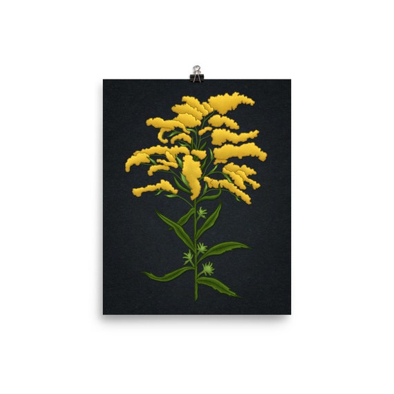 Goldenrod Art Print Floral Illustration Poster - Etsy