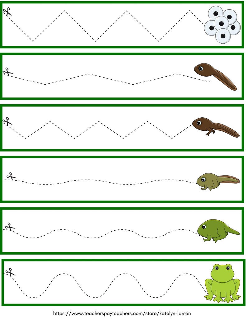 FROG LIFE CYCLE Cutting Strips for Montessori Toddler, Prek, Homeschool ...