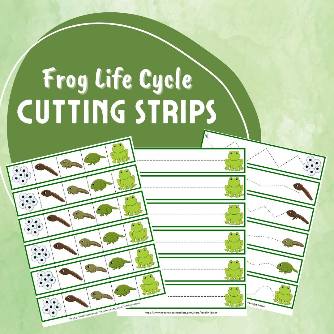 FROG LIFE CYCLE Cutting Strips for Montessori Toddler, Prek, Homeschool ...