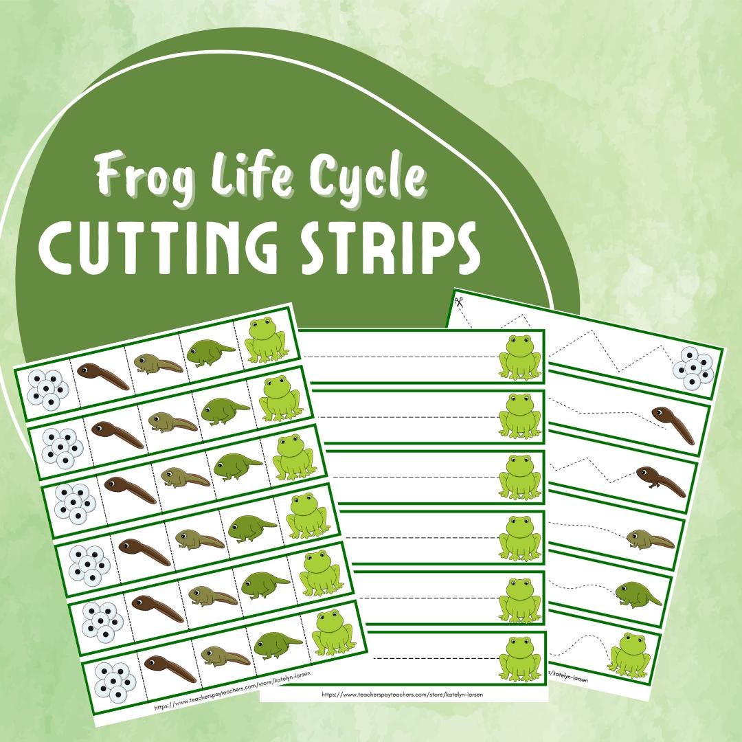 FROG LIFE CYCLE Cutting Strips for Montessori Toddler, Prek, Homeschool ...