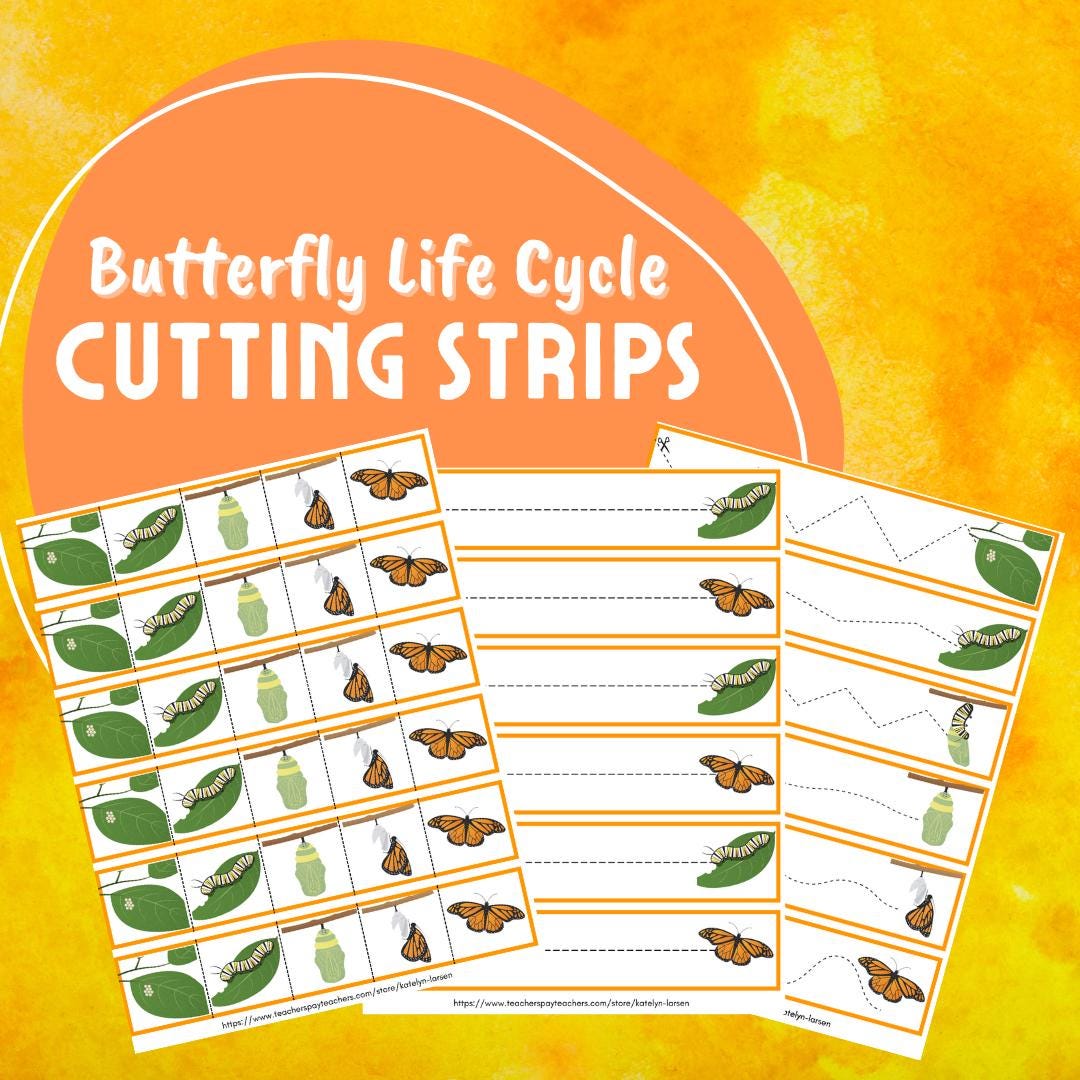 BUTTERFLY LIFE CYCLE Cutting Strips for Montessori Toddler, Prek ...