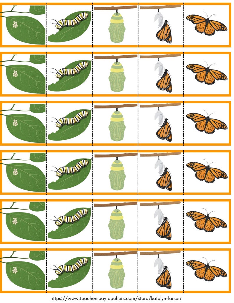 BUTTERFLY LIFE CYCLE Cutting Strips for Montessori Toddler, Prek ...