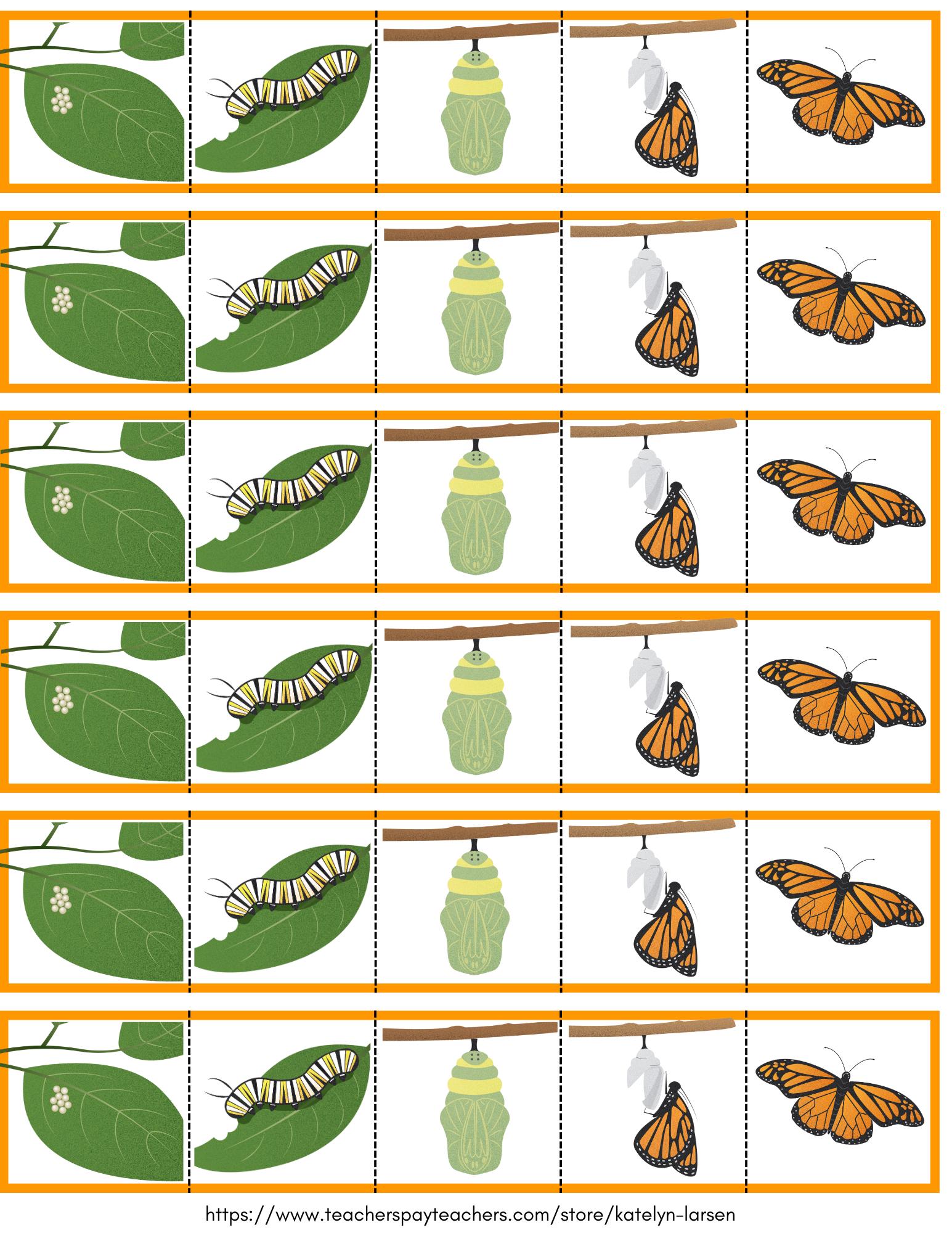 BUTTERFLY LIFE CYCLE Cutting Strips for Montessori Toddler, Prek ...