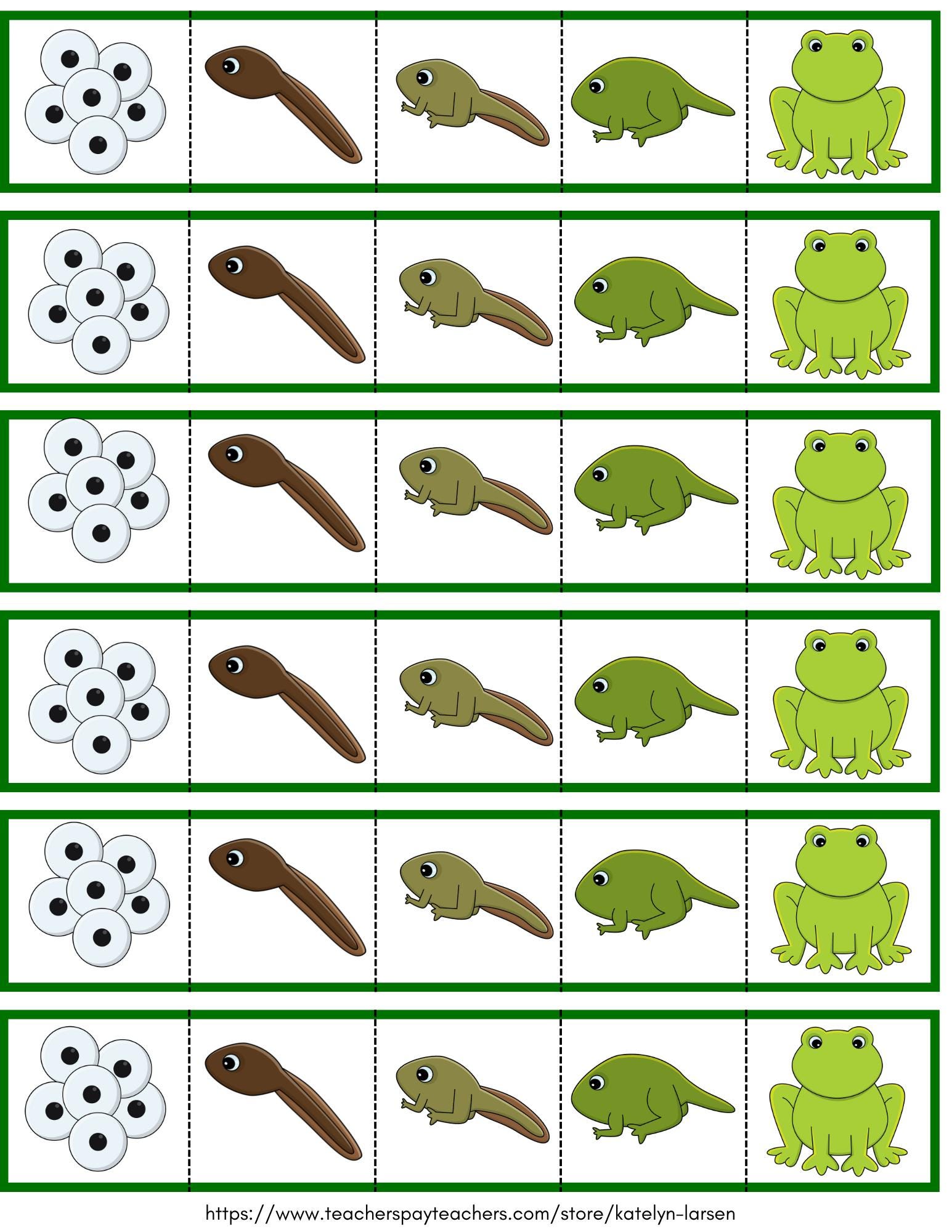FROG LIFE CYCLE Cutting Strips for Montessori Toddler, Prek, Homeschool ...
