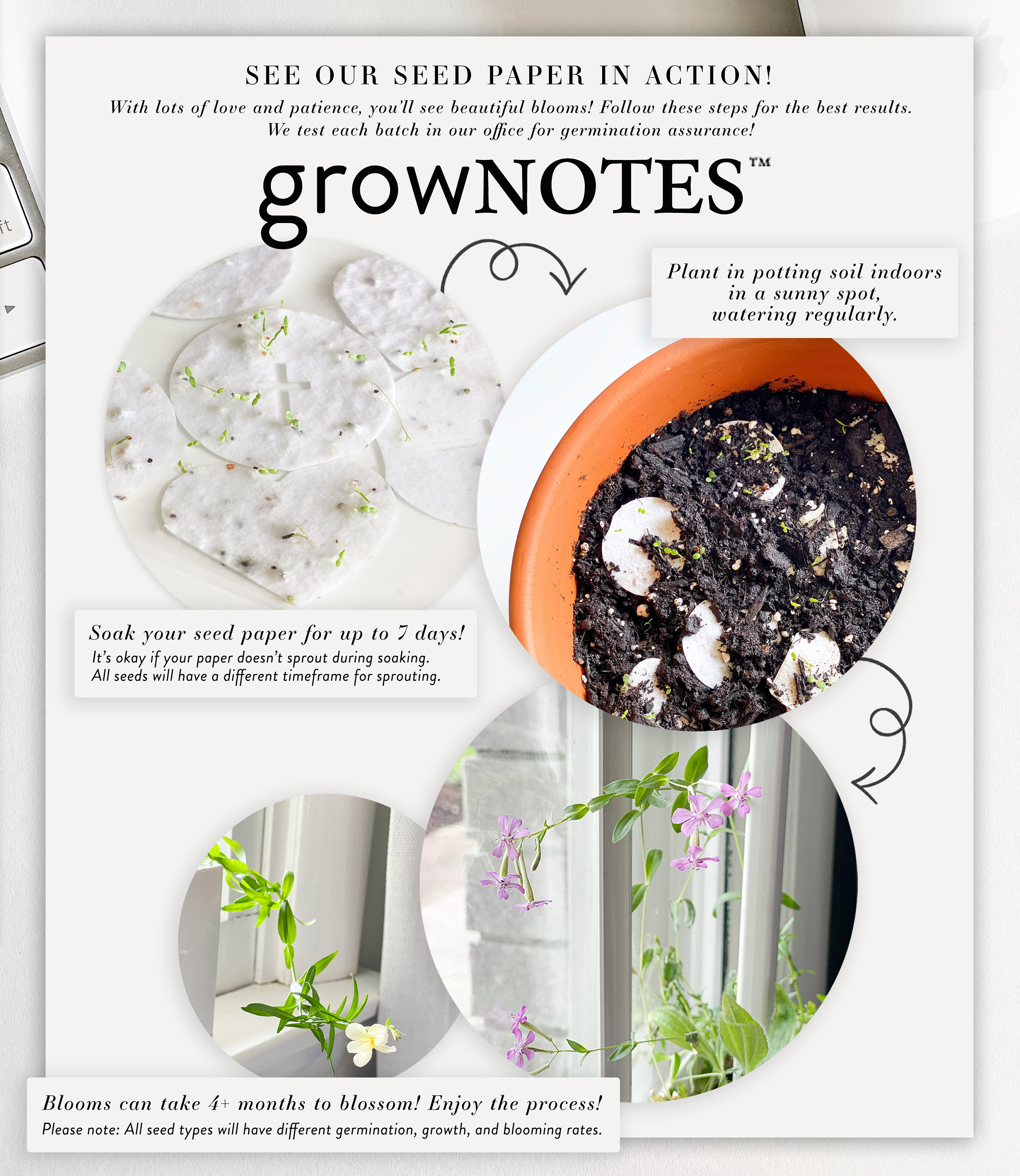 Grownotes™ Baby in Bloom, Baby Shower, Plantable Favors, for Guests ...