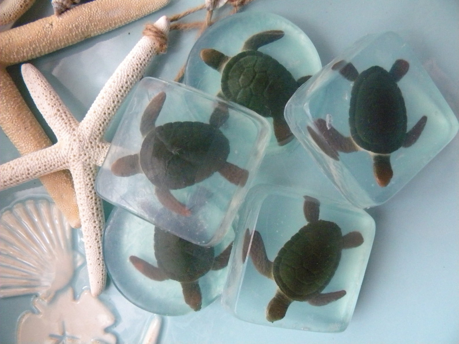 Turtle Soap - Etsy