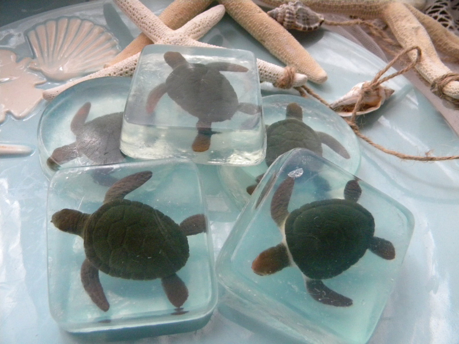 Turtle Soap - Etsy