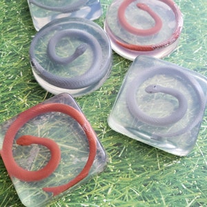 Snake Soap / Snake Party Favors - Etsy