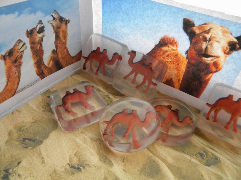 Camel Soap / Camel Party Favors - Etsy