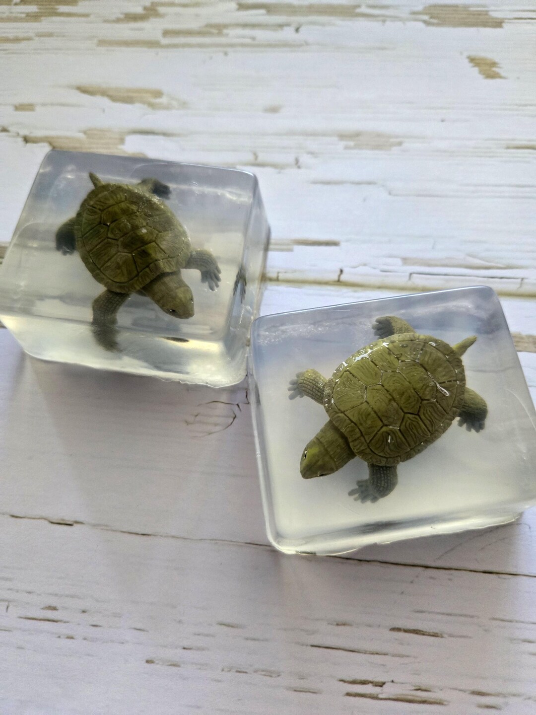Turtle Soap Party Favors Ltd. - Etsy