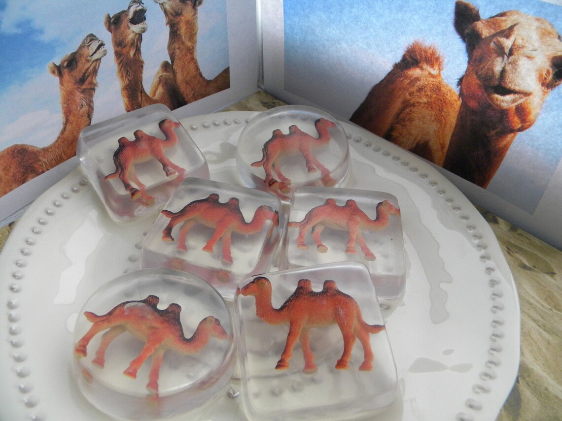 Camel Soap / Camel Party Favors - Etsy