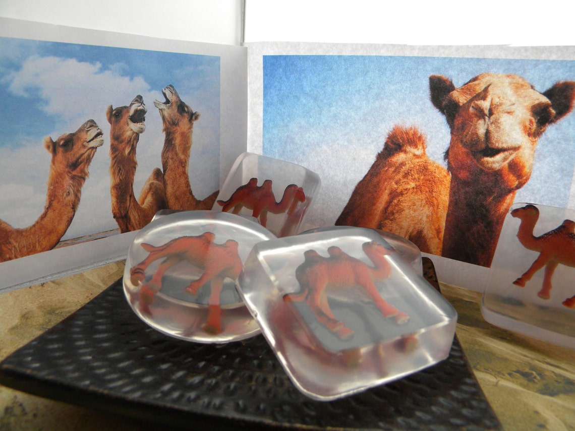 Camel Soap / Camel Party Favors - Etsy