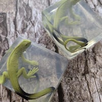 Cobra Soap-snake Soap-reptile Soap-kids Soap-boys Soap-men's Gift - Etsy