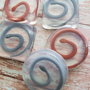 Snake Soap / Snake Party Favors - Etsy