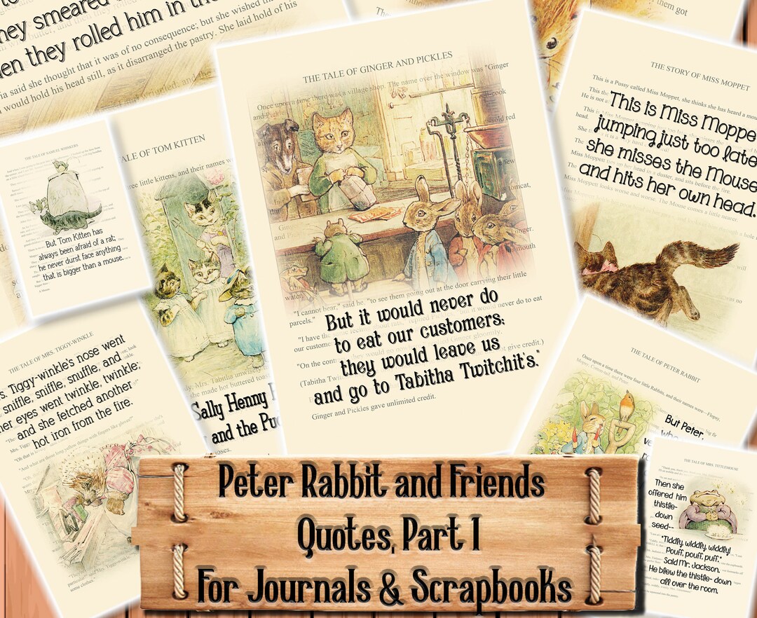 Beatrix Potter Book Quotes Part 1, Peter Rabbit and Friends, Junk ...