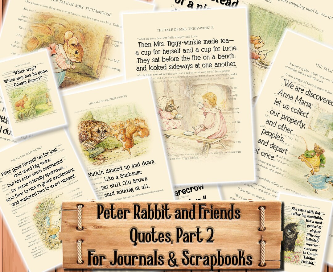 Beatrix Potter Book Quotes Part 2, Peter Rabbit and Friends, Junk ...