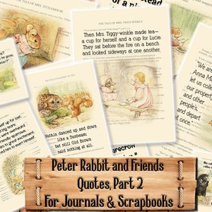 Beatrix Potter Book Quotes Part 2, Peter Rabbit and Friends, Junk ...