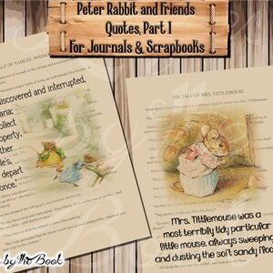 Beatrix Potter Book Quotes Part 1, Peter Rabbit and Friends, Junk ...