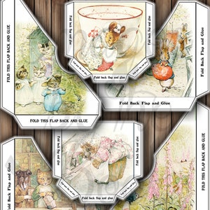 Beatrix Potter Book Quotes Part 1, Peter Rabbit and Friends, Junk ...