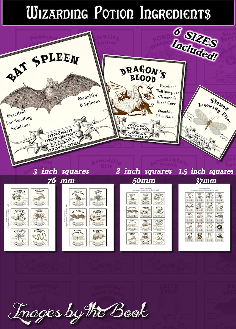 Wizard Labels, Potion Ingredient Labels, Squares and Rectangles ...