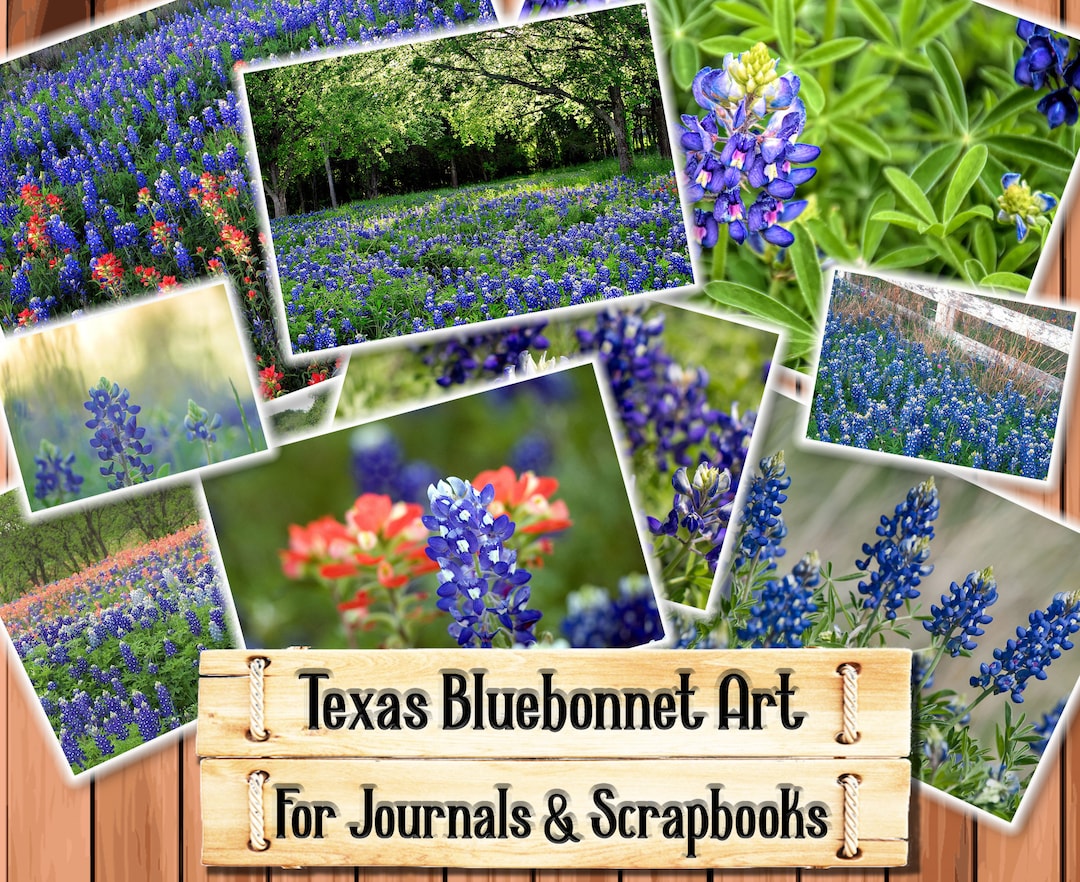 Texas Bluebonnet Art, Junk Journal Kit (digital Download) - Etsy