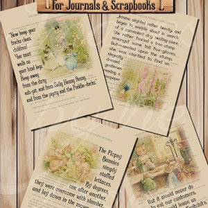 Beatrix Potter Book Quotes Part 1, Peter Rabbit and Friends, Junk ...