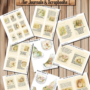 Beatrix Potter Book Quotes Part 1, Peter Rabbit and Friends, Junk ...