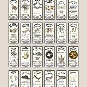 Wizard Labels, Potion Ingredient Labels, Squares and Rectangles ...