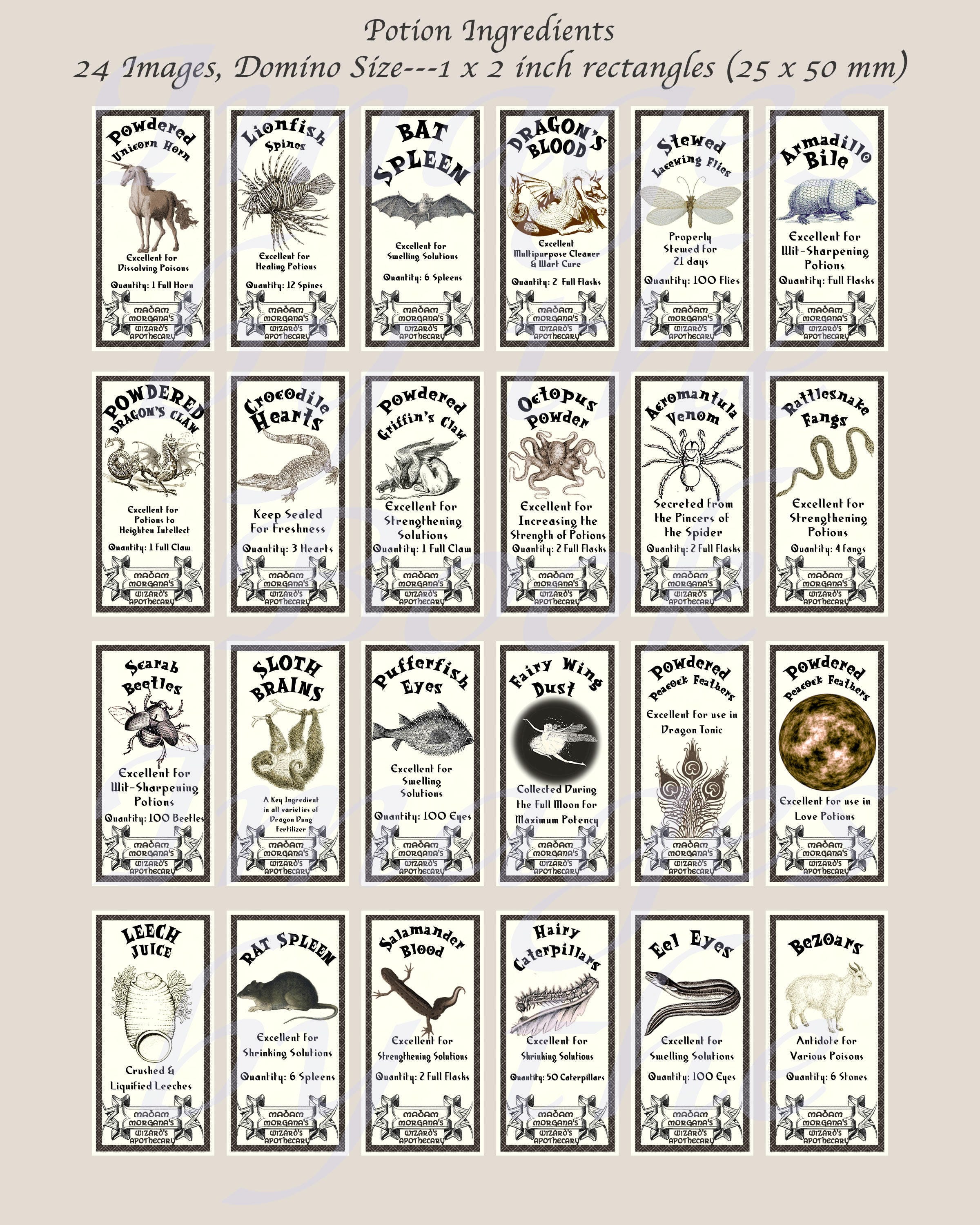 Wizard Labels, Potion Ingredient Labels, Squares and Rectangles ...