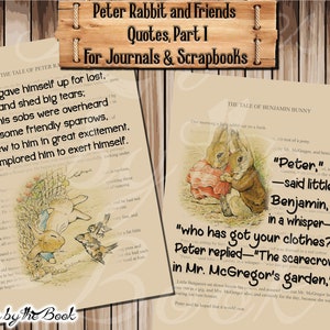 Beatrix Potter Book Quotes Part 1, Peter Rabbit and Friends, Junk ...