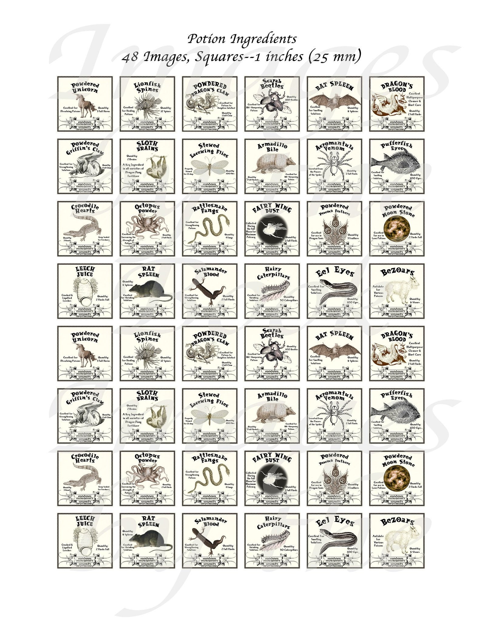 Wizard Labels, Potion Ingredient Labels, Squares and Rectangles With 6 ...