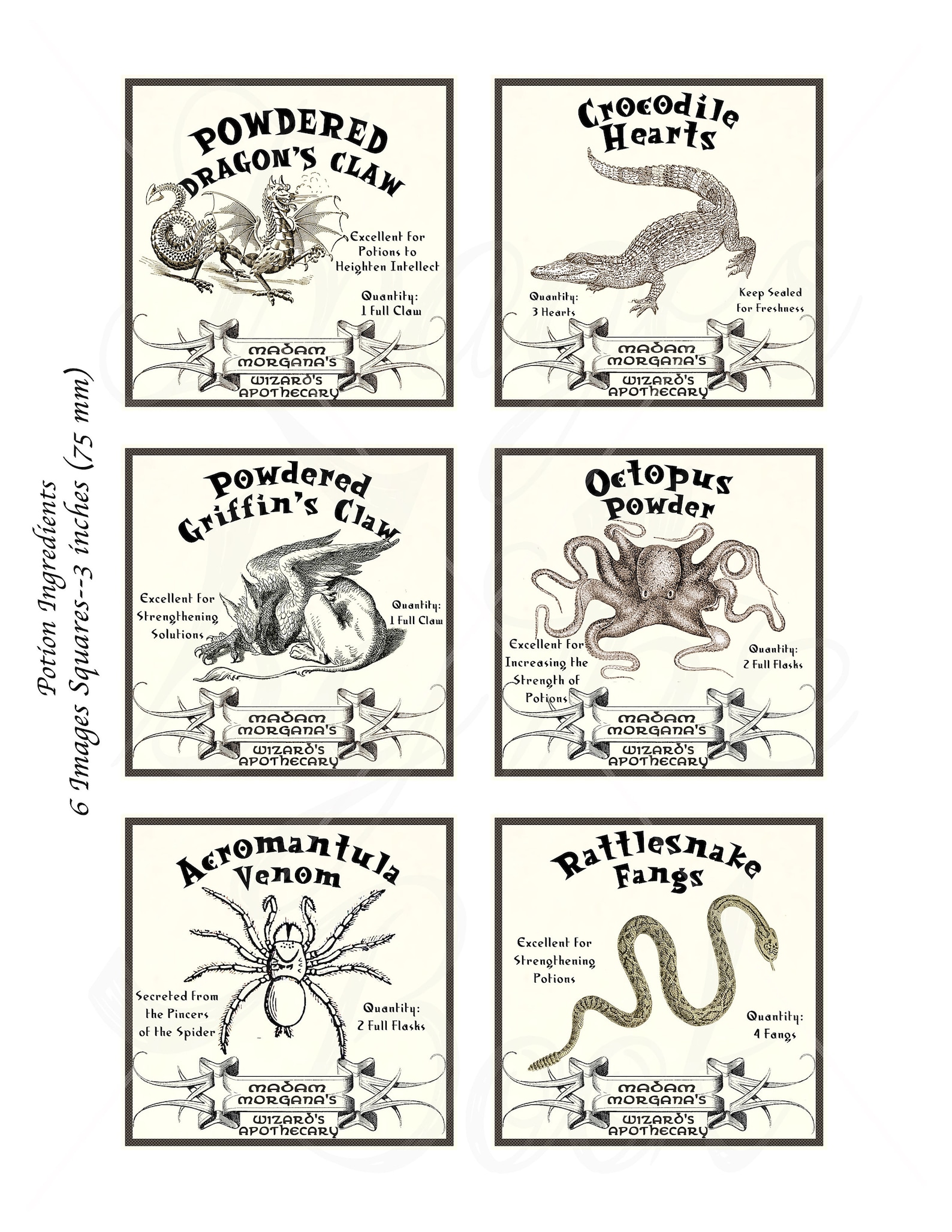 Wizard Labels, Potion Ingredient Labels, Squares and Rectangles With 6 ...