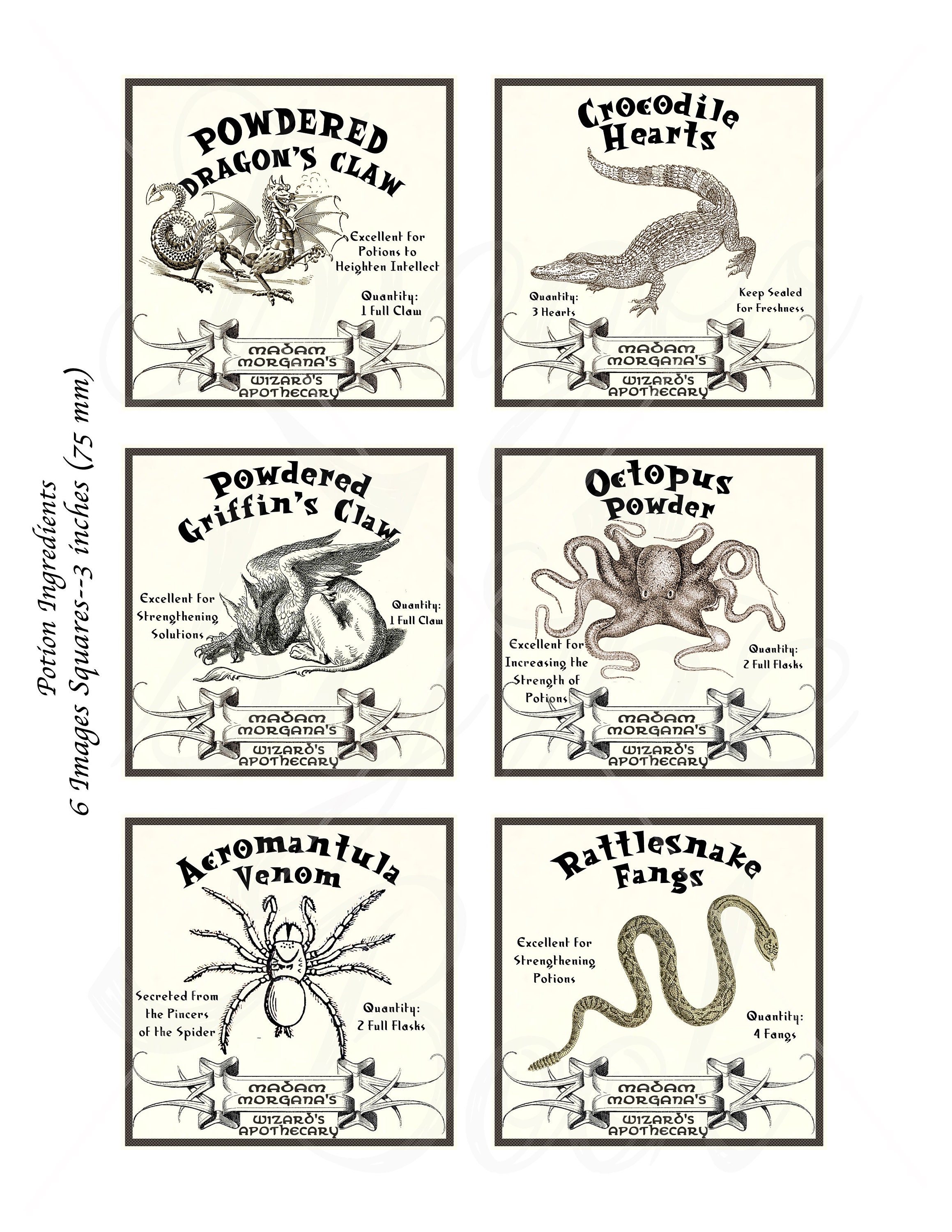 Wizard Labels, Potion Ingredient Labels, Squares and Rectangles With 6 ...