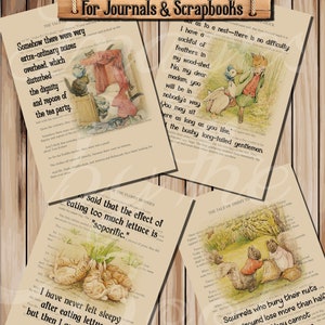 Beatrix Potter Book Quotes Part 2, Peter Rabbit and Friends, Junk ...