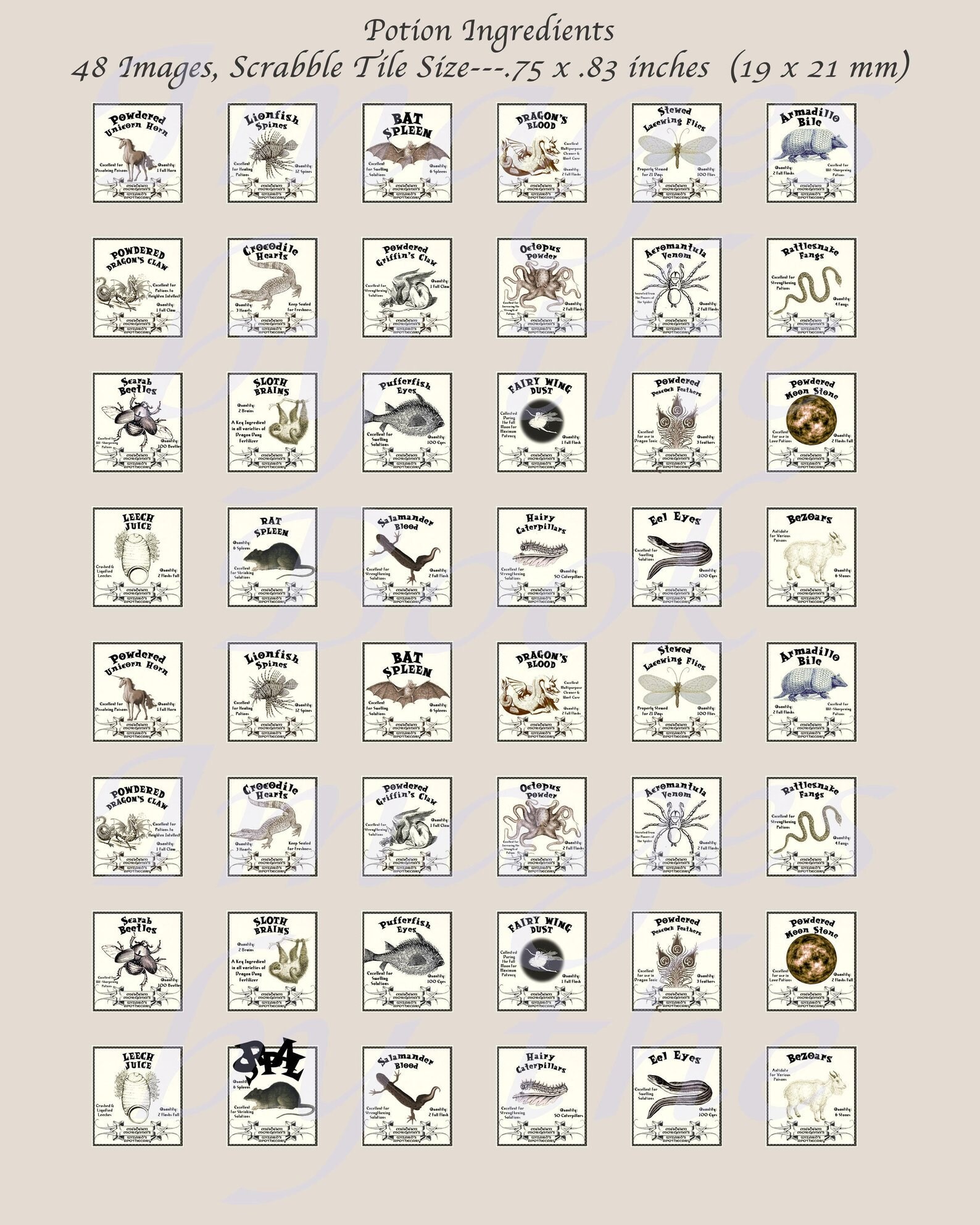 Wizard Labels, Potion Ingredient Labels, Squares and Rectangles With 6 ...