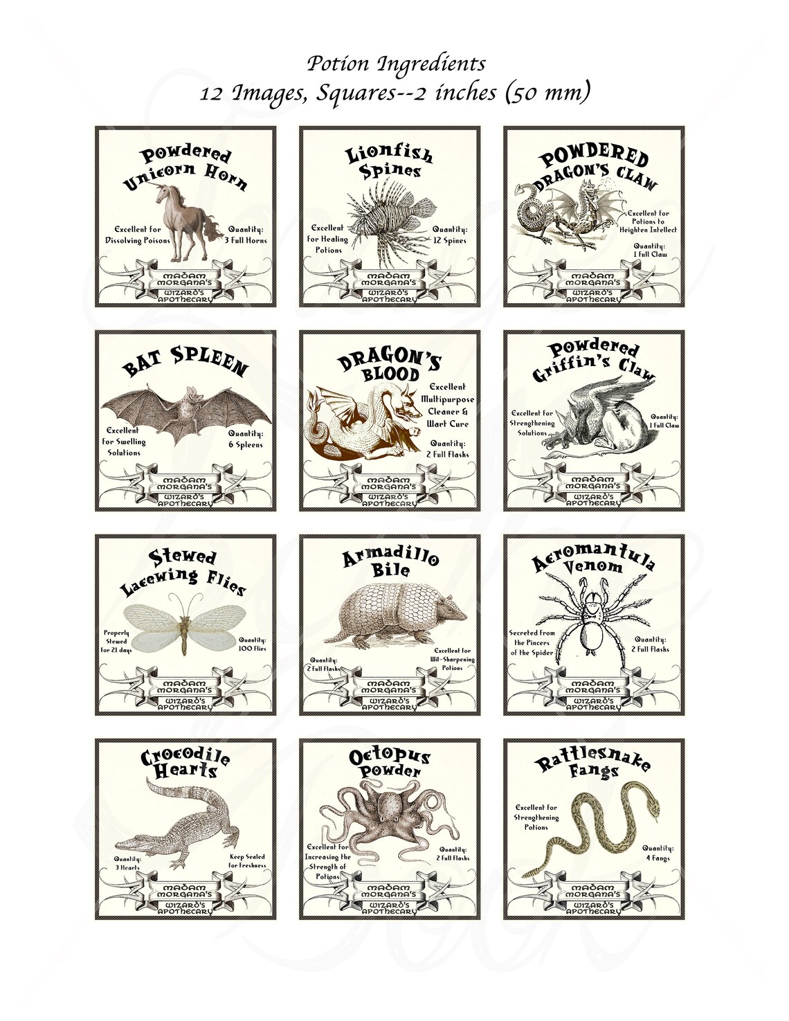 Wizard Labels, Potion Ingredient Labels, Squares and Rectangles ...