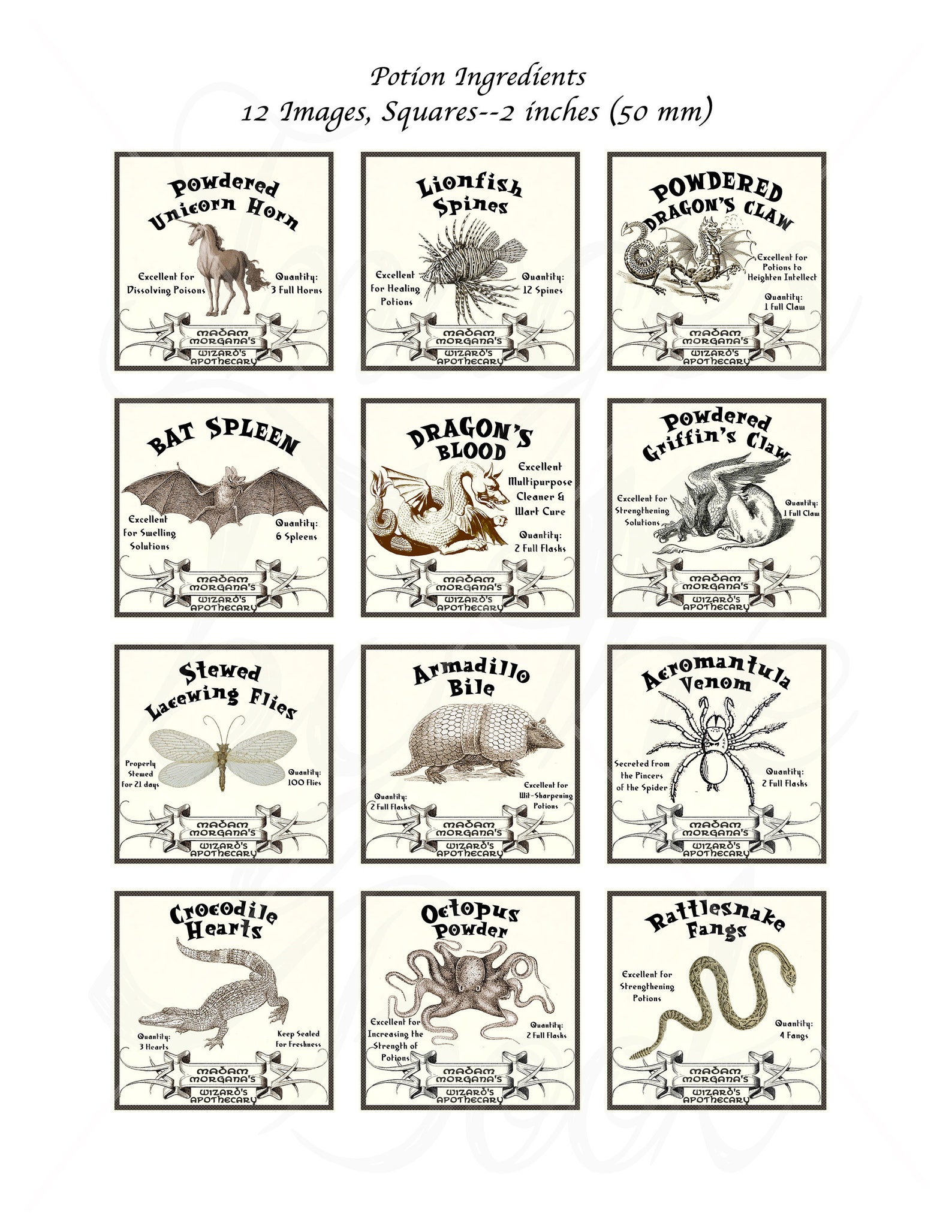 Wizard Labels, Potion Ingredient Labels, Squares and Rectangles With 6 ...