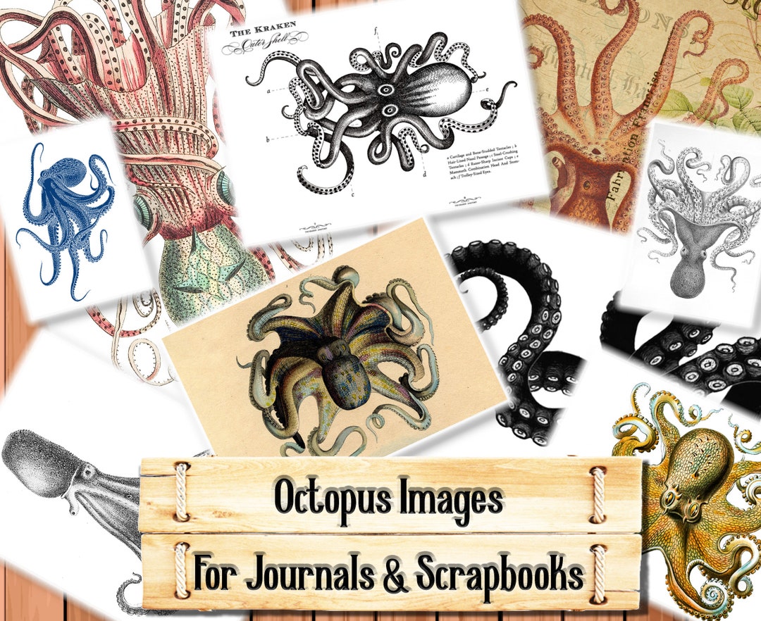 Octopus, Junk Journal Kit, Download and Print Upon Purchase - Etsy
