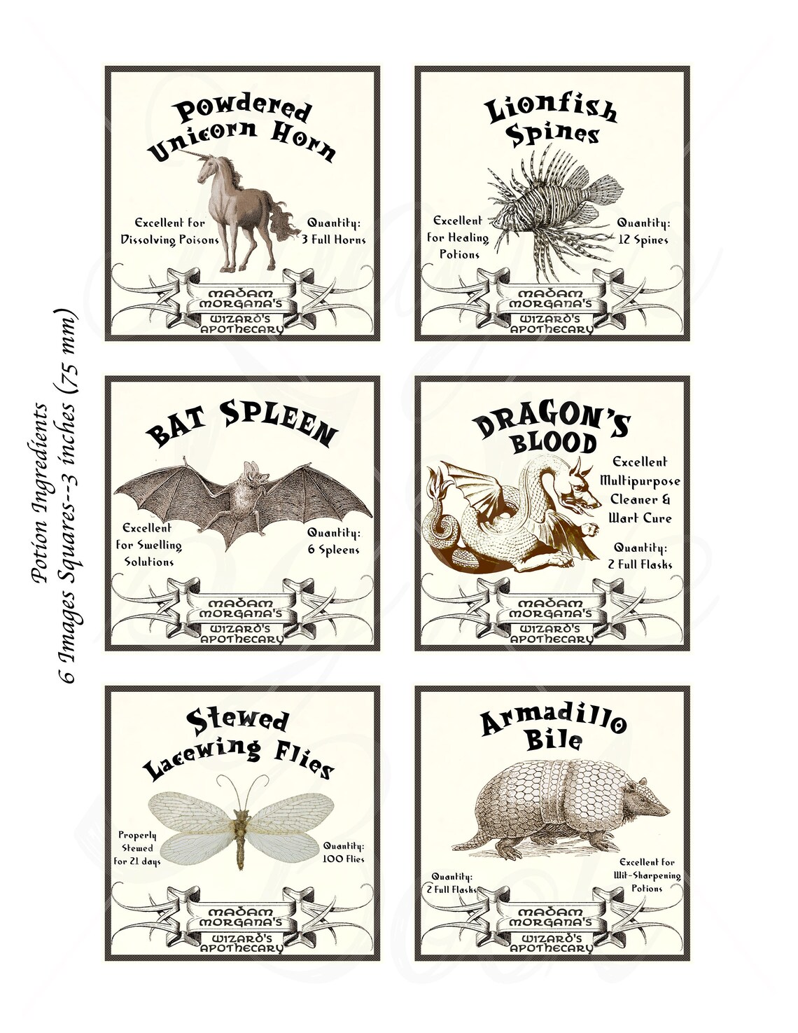 Wizard Labels, Potion Ingredient Labels, Squares and Rectangles ...