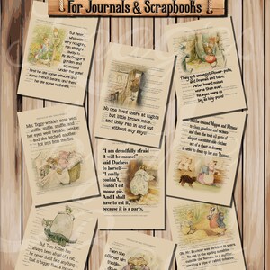 Beatrix Potter Book Quotes Part 1, Peter Rabbit and Friends, Junk ...