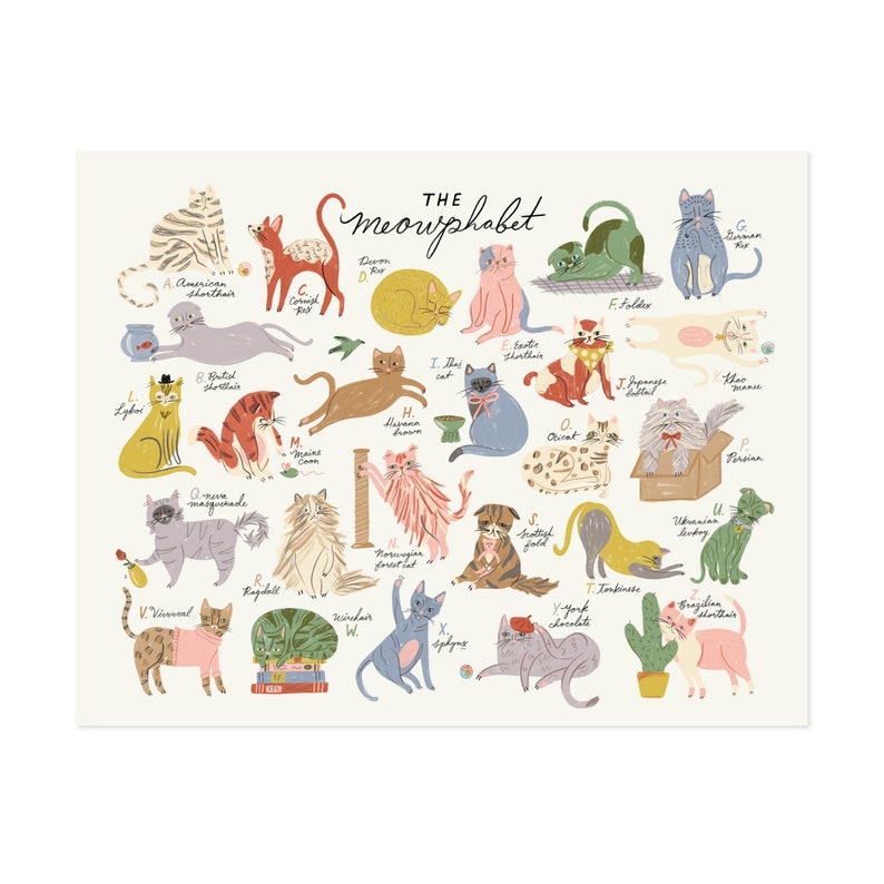 The Meowphabet Cat Alphabet ABC Art Print Nursery Decor Poster - Etsy